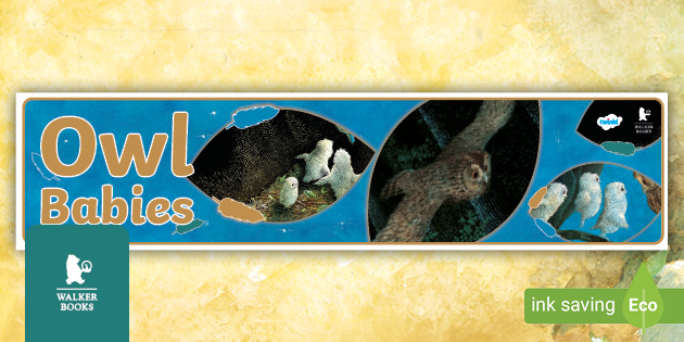Owl Babies Display Banner | Primary Resources | Twinkl
